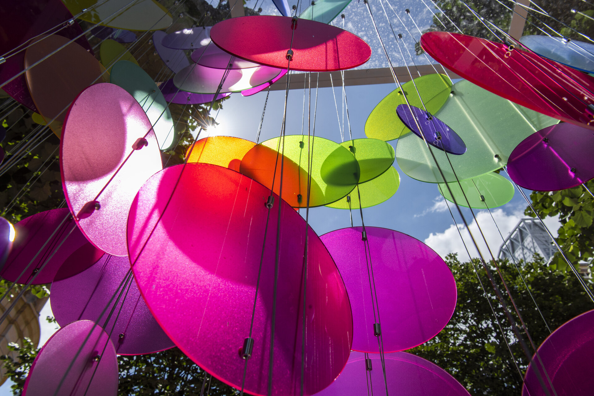 Archive - Yoni Alter. Original graphic art