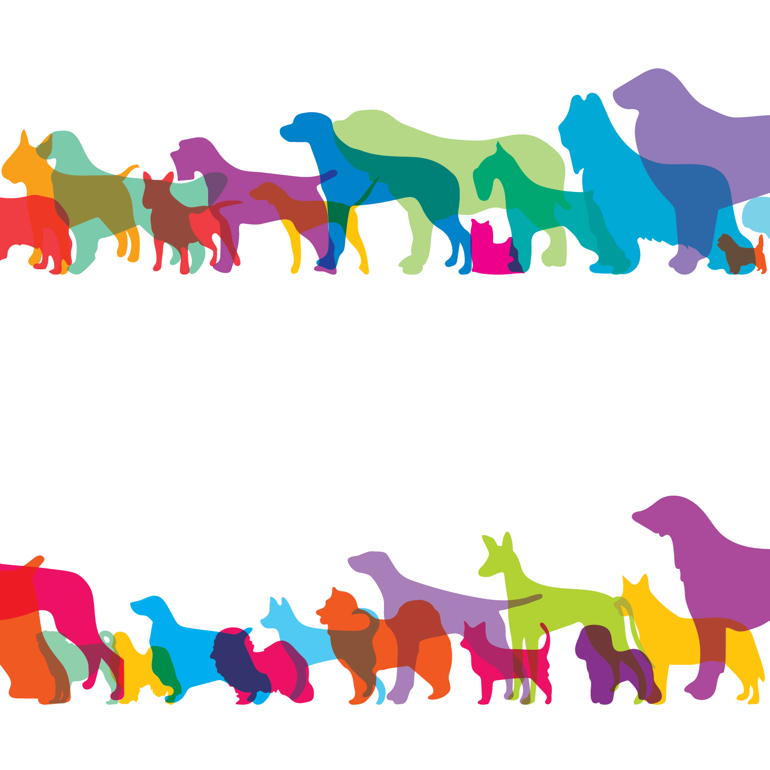 Shapes of Dogs - Yoni Alter. Original graphic art