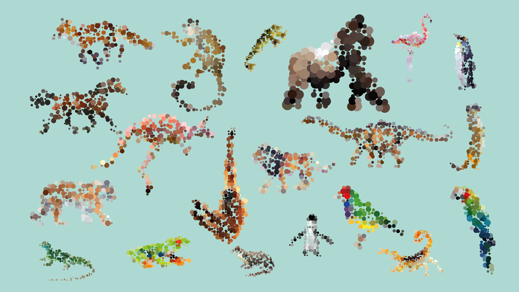 Dotted animals - Yoni Alter. Original graphic art